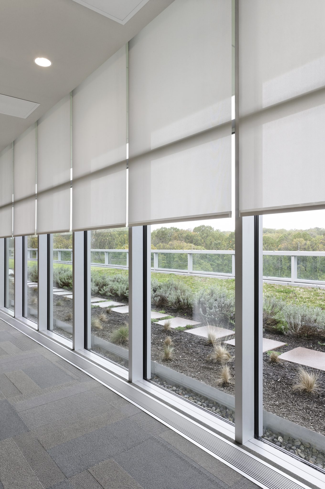 Motorized Shades - Elevated Integration - Technology & Automation